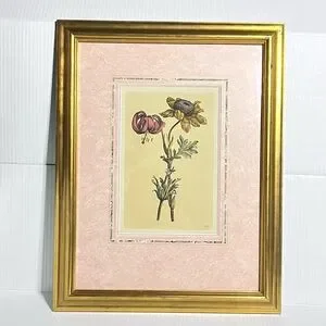 Vintage | Art | Vintage N Robert Artist Signed Botanical Art | Poshmark